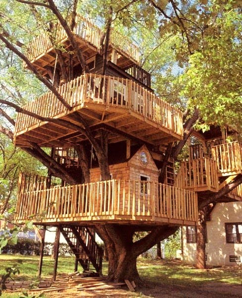 Journey of the Featherless: Real life treehouses!